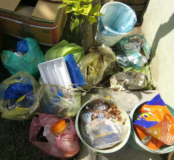 Unattended garbage heaps continue to irk residents : The Tribune India