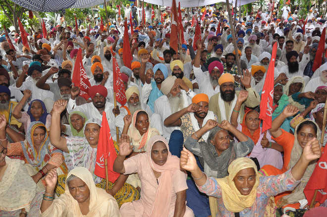 RMPI activists protest high power tariff : The Tribune India