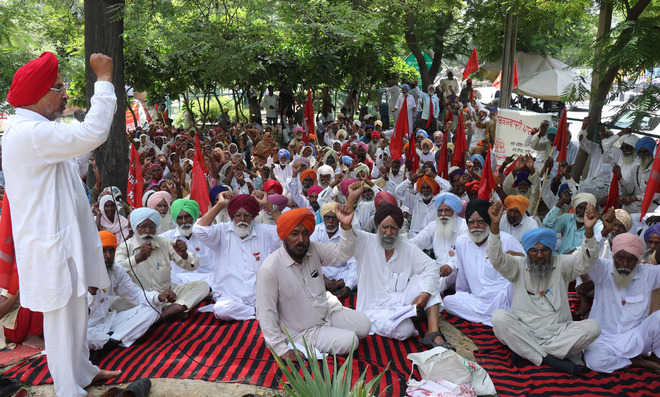 Left party demands slashing of power rates : The Tribune India