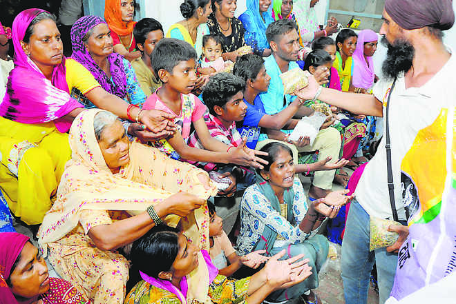 Disease follows Doaba floods : The Tribune India