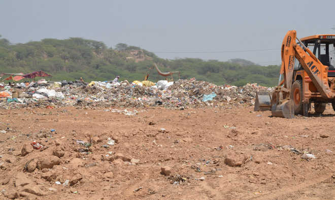 P’kula MC receives 2 bids for Jheuriwala waste plant - The Tribune