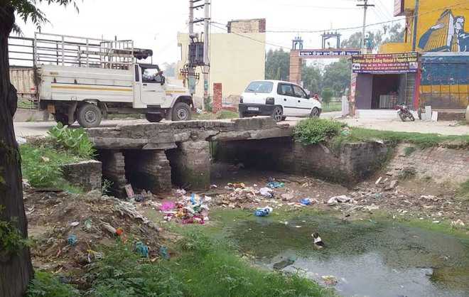 Bridge over Bist-Doab canal in need of revamp - The Tribune