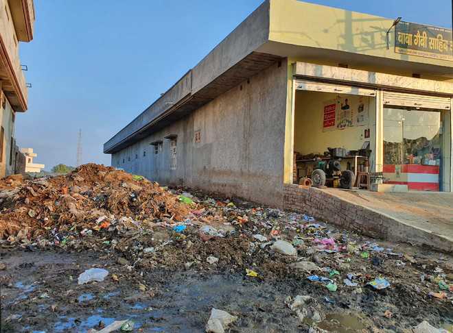 No end to Garbage dumping near temple - The Tribune