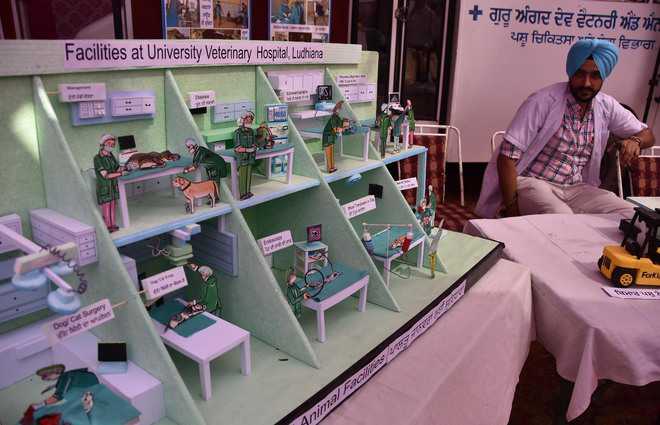 Animal hospital care on display - The Tribune