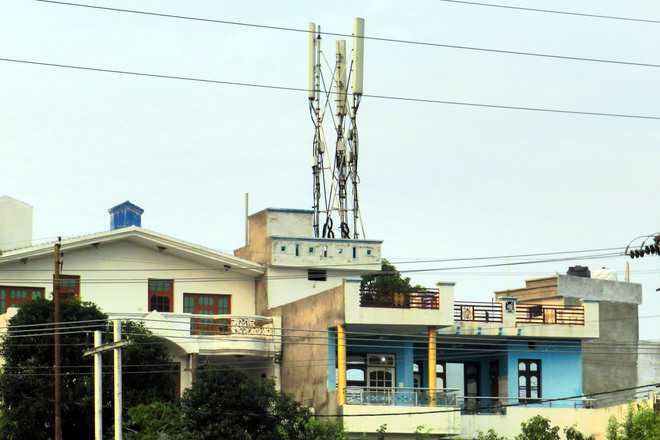 Roop Nagar residents want telecom tower removed : The Tribune India